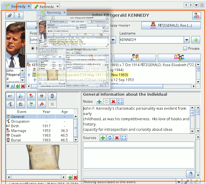 Workspace and windows | Ancestris - Documentation